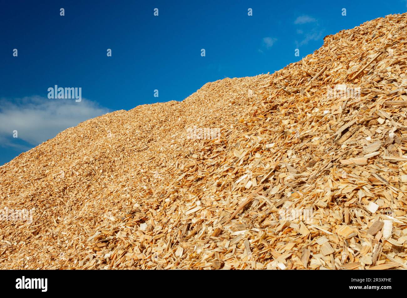 Wood system hi-res stock photography and images - Alamy