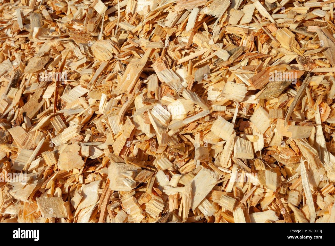 Storage of wood chips, biomass heating system. Stack of wood chips ...