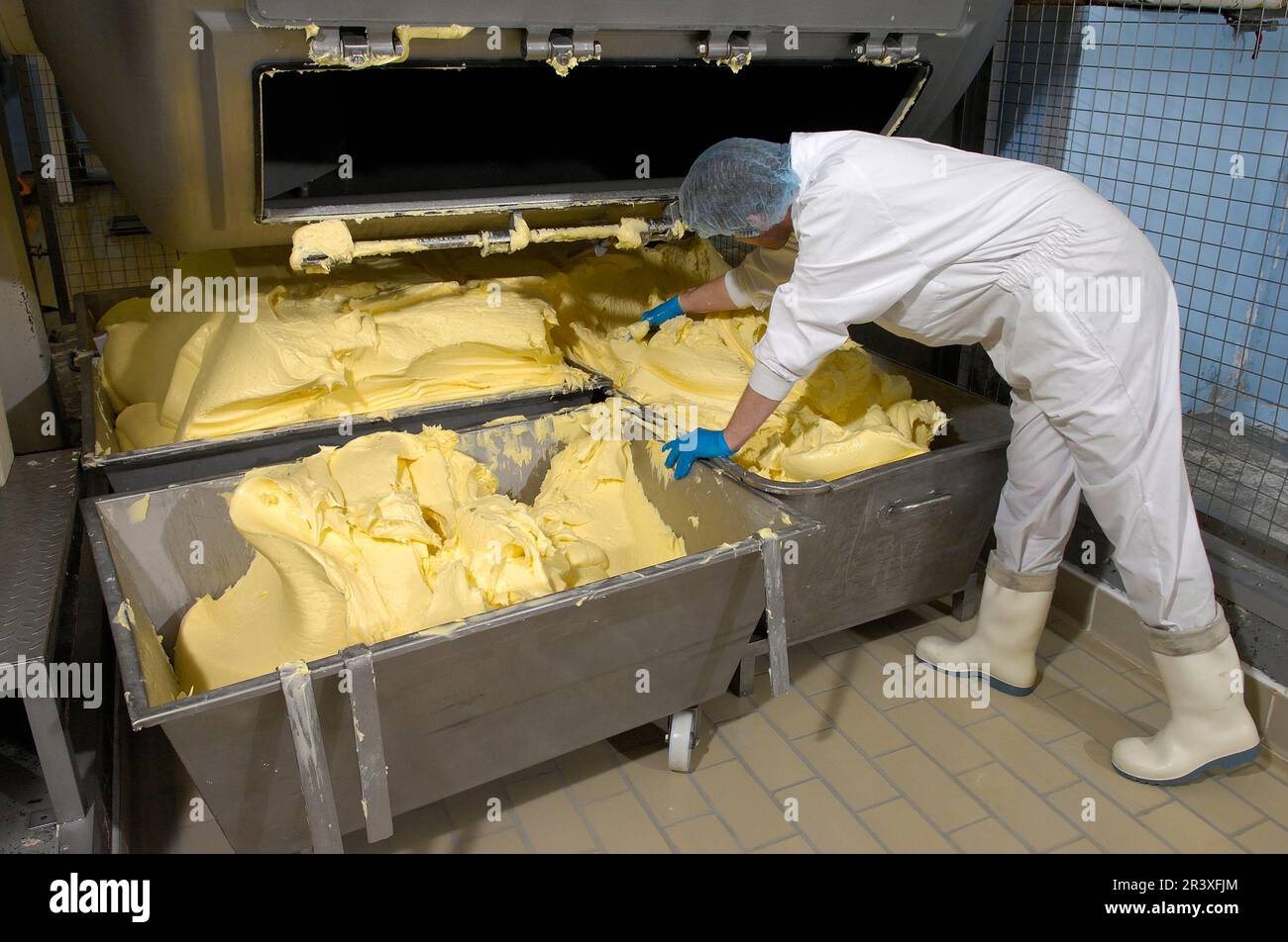 The Isigny-Sainte-Mere Dairy Cooperative (Normandy, north-western ...