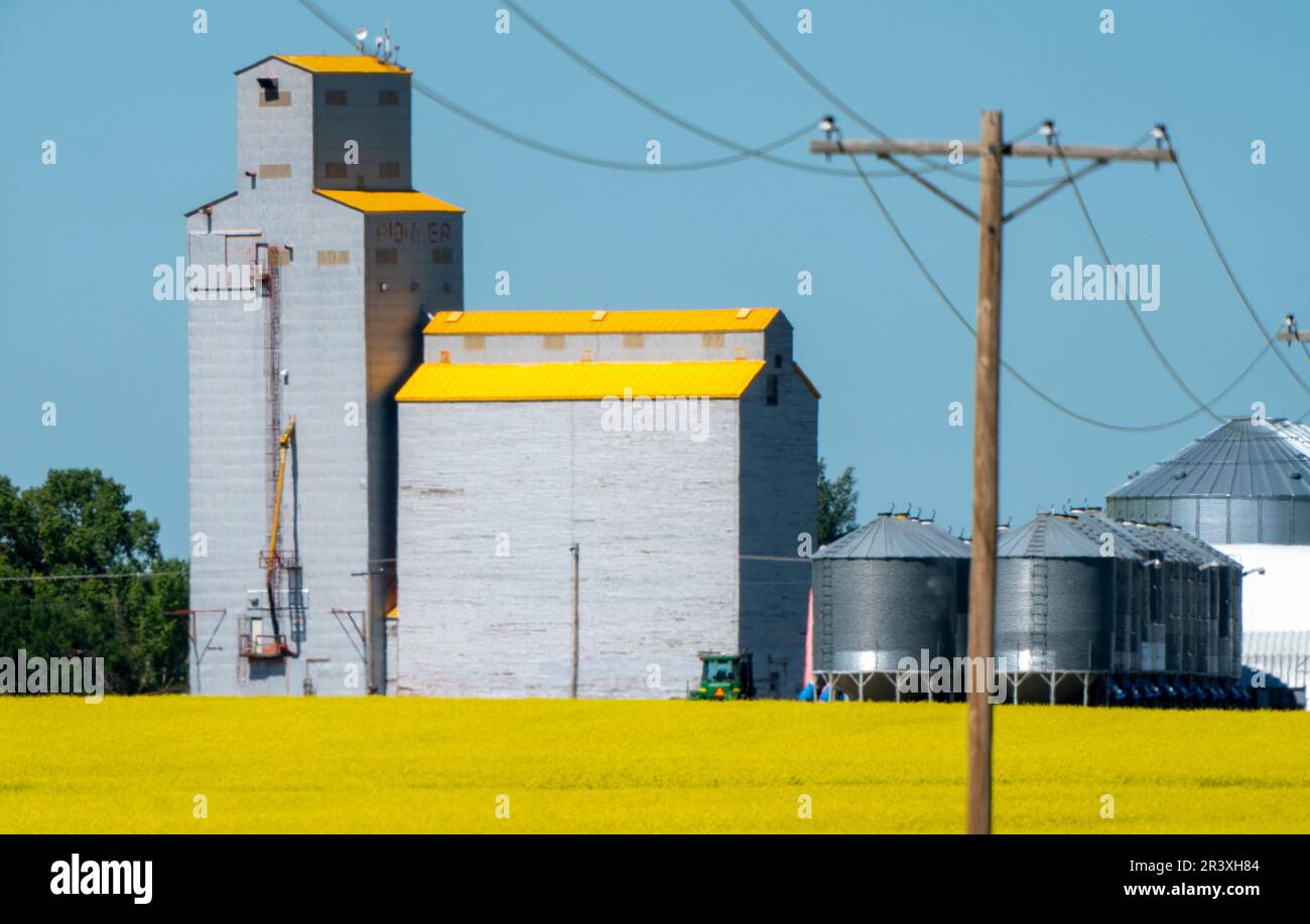 Saskatchewan agriculture hi-res stock photography and images - Alamy