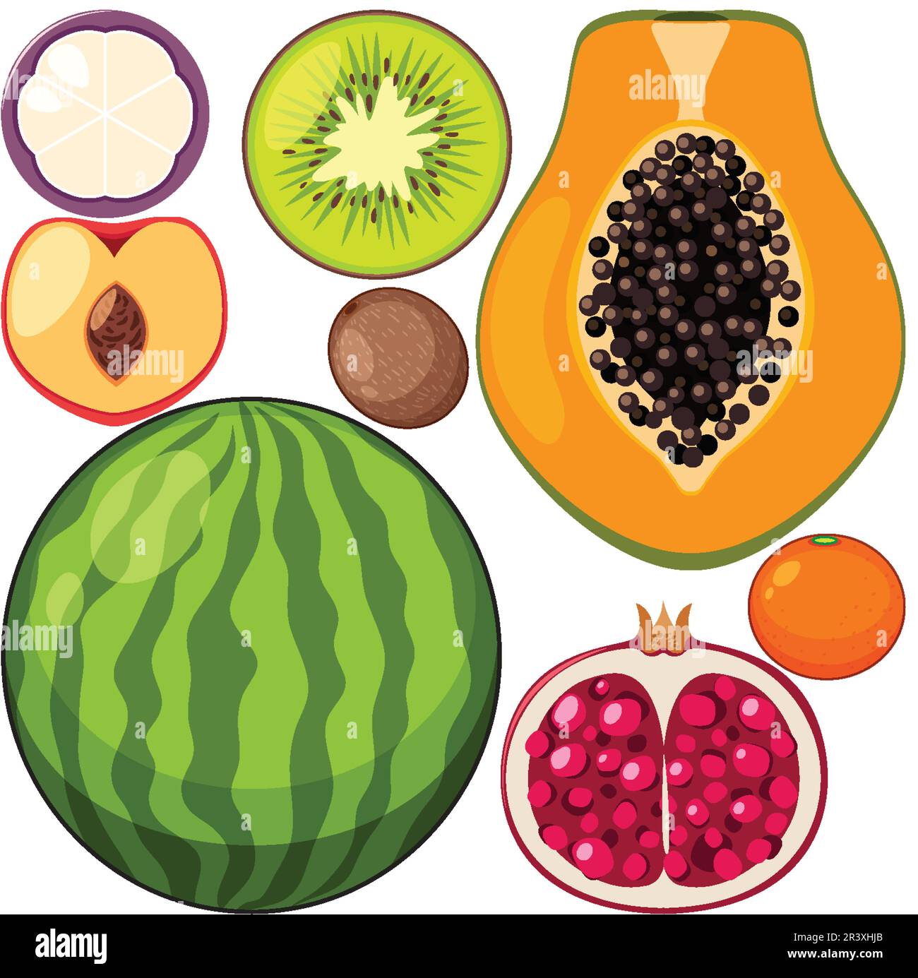 A collection of different fruits illustration Stock Vector Image & Art ...