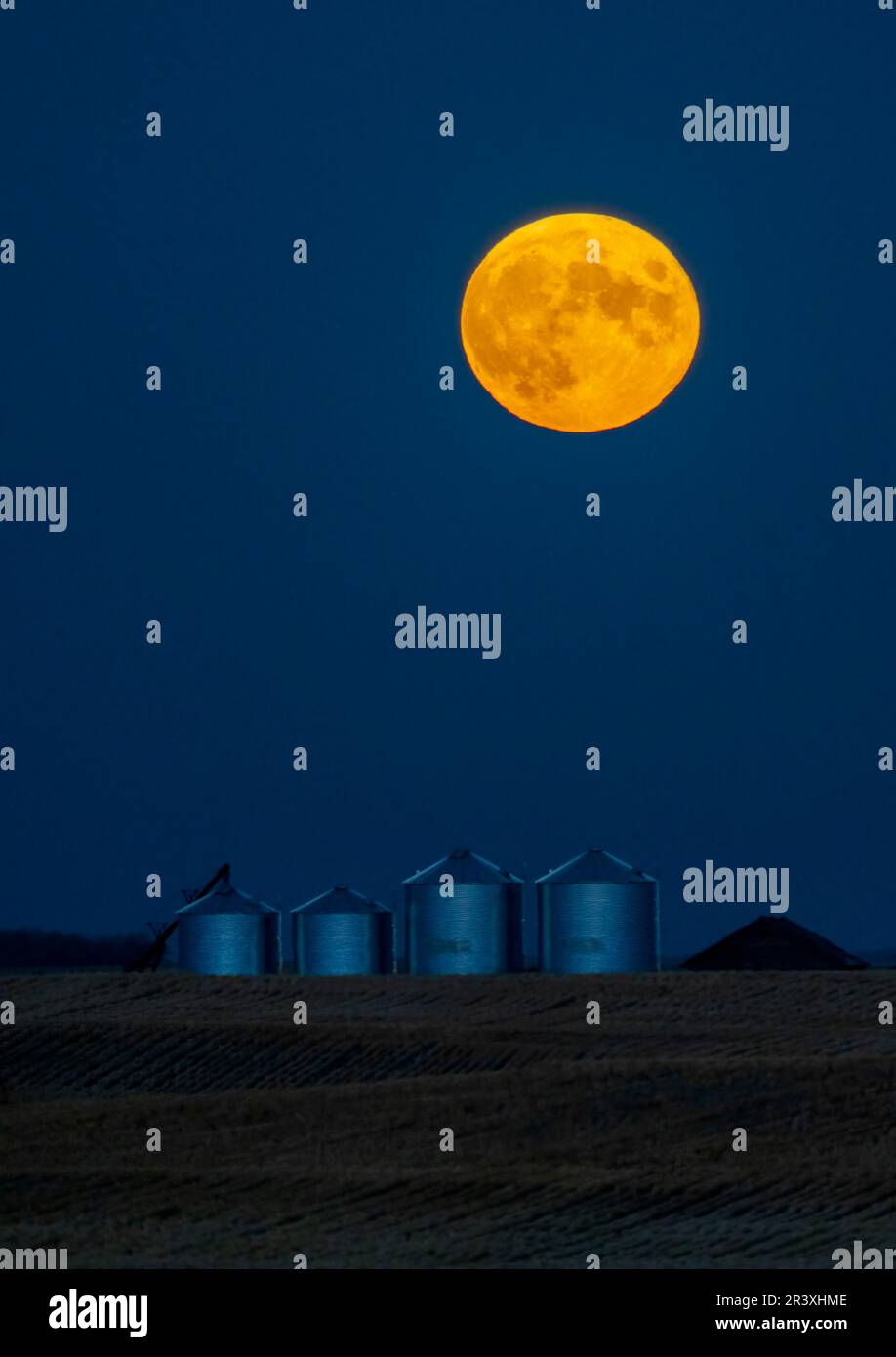 Full Moon Canada Stock Photo - Alamy