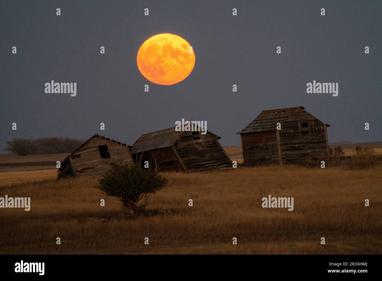 Full Moon Canada Stock Photo - Alamy