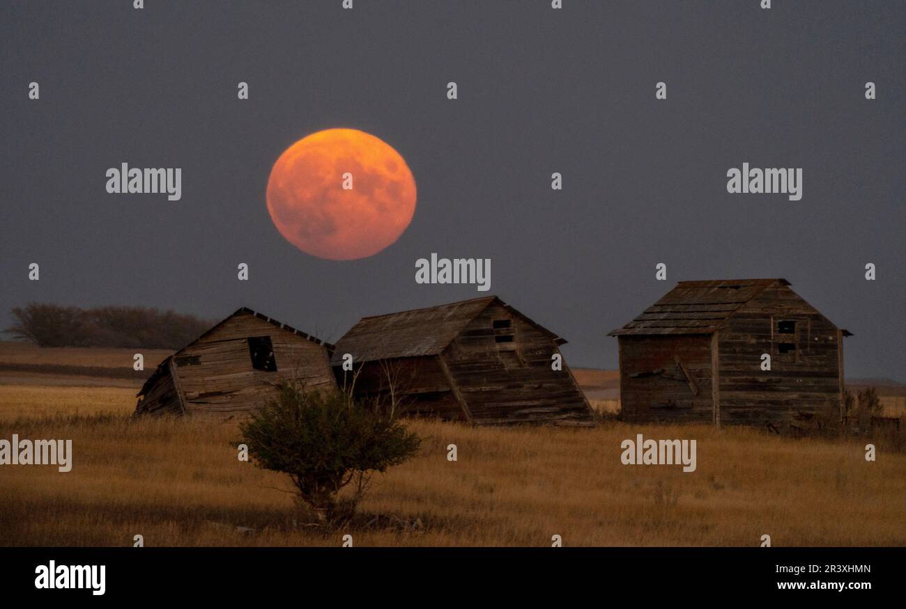 Full Moon Canada Stock Photo - Alamy