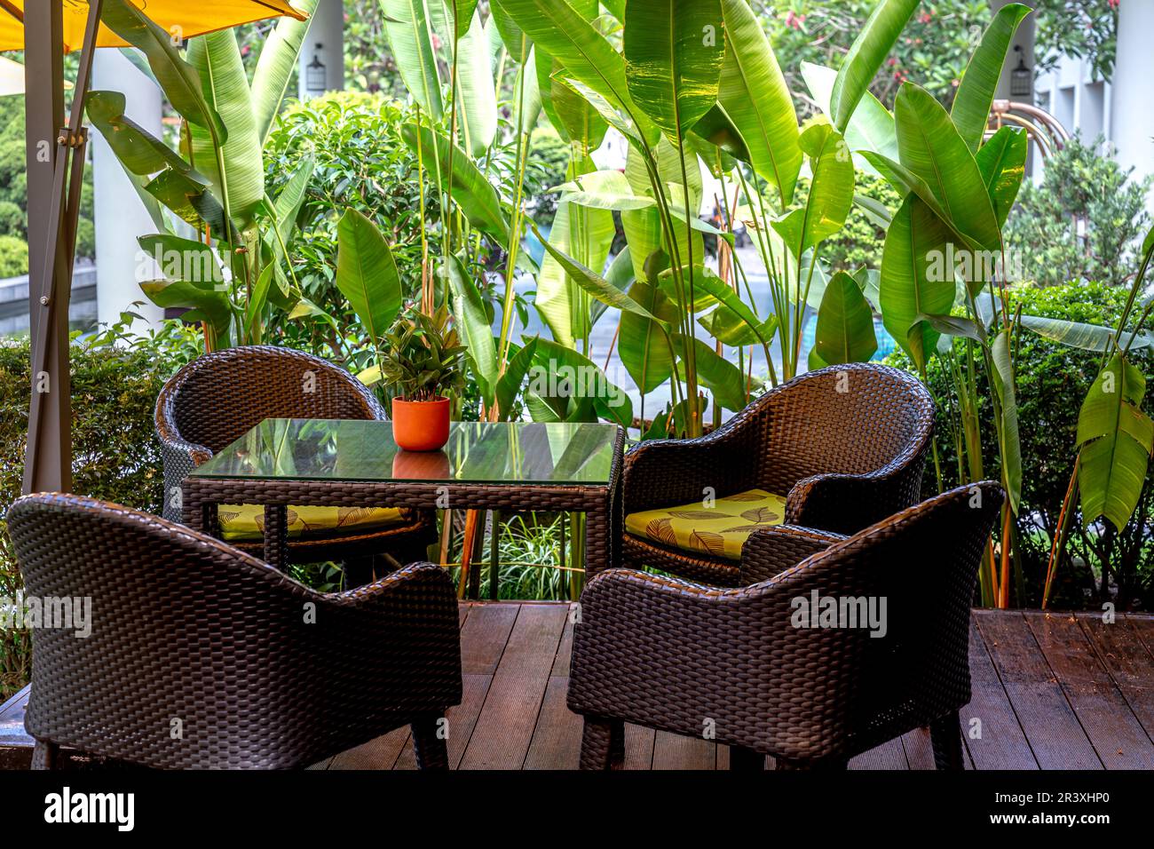 Tables and chairs of an outdoor cafe next to rows of green trees Stock ...