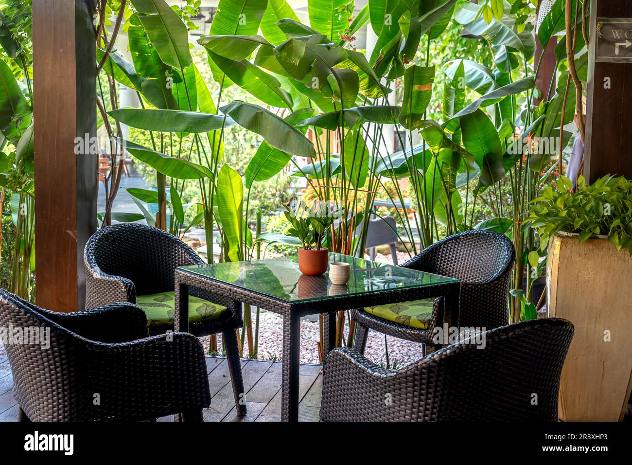 Rainforest cafe exterior hi-res stock photography and images - Alamy