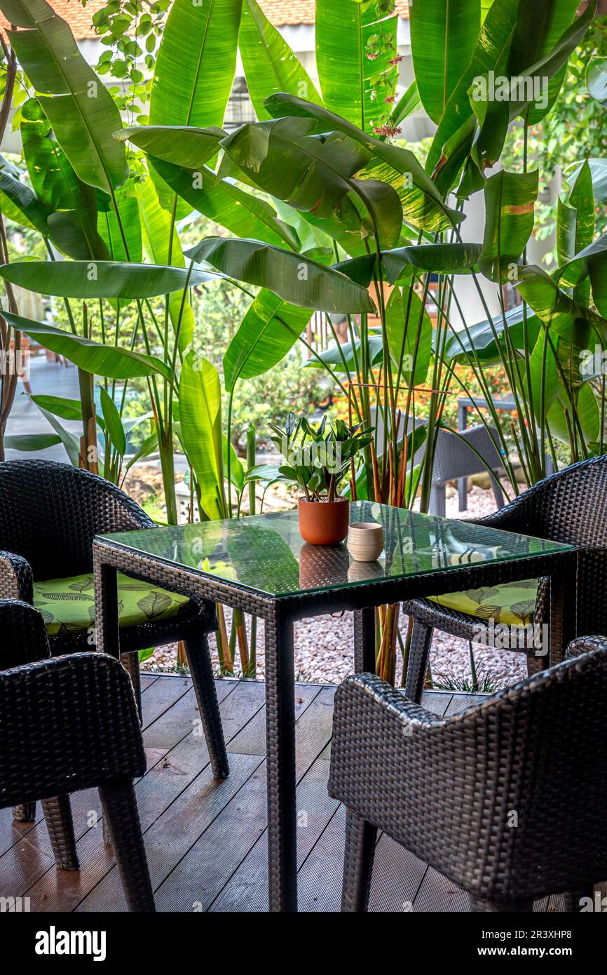 Tables and chairs of an outdoor cafe next to rows of green trees Stock ...