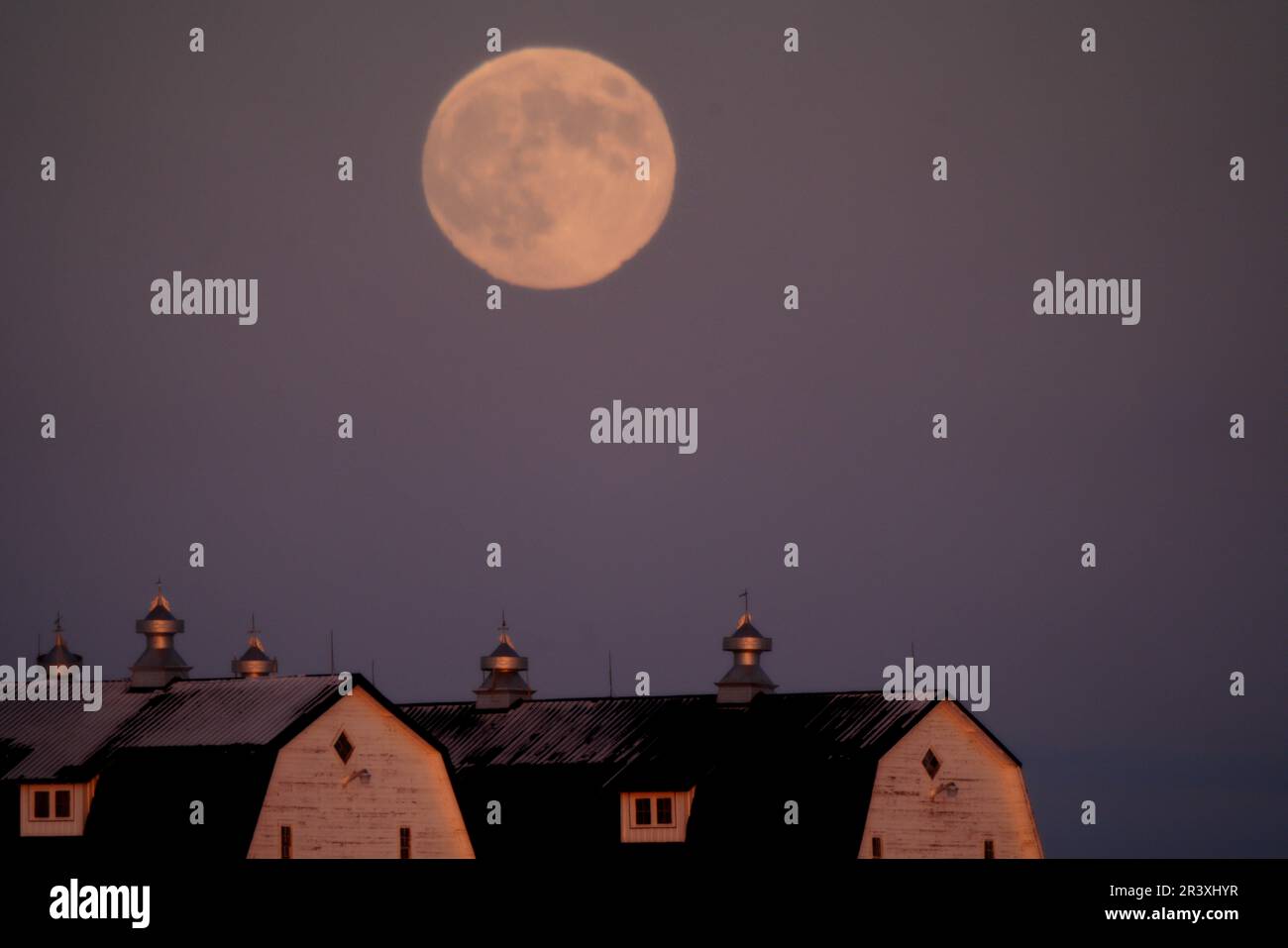 Full Moon Canada Stock Photo - Alamy