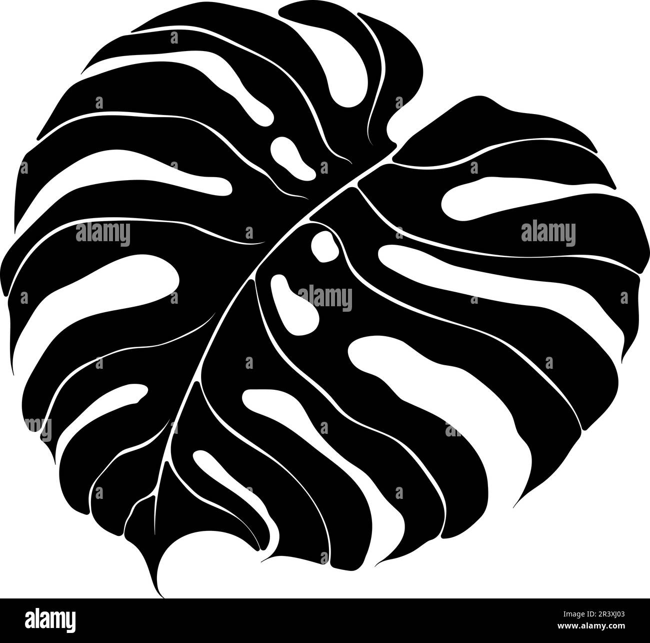 Tropic monstera palm jungle Black and White Stock Photos & Images - Alamy