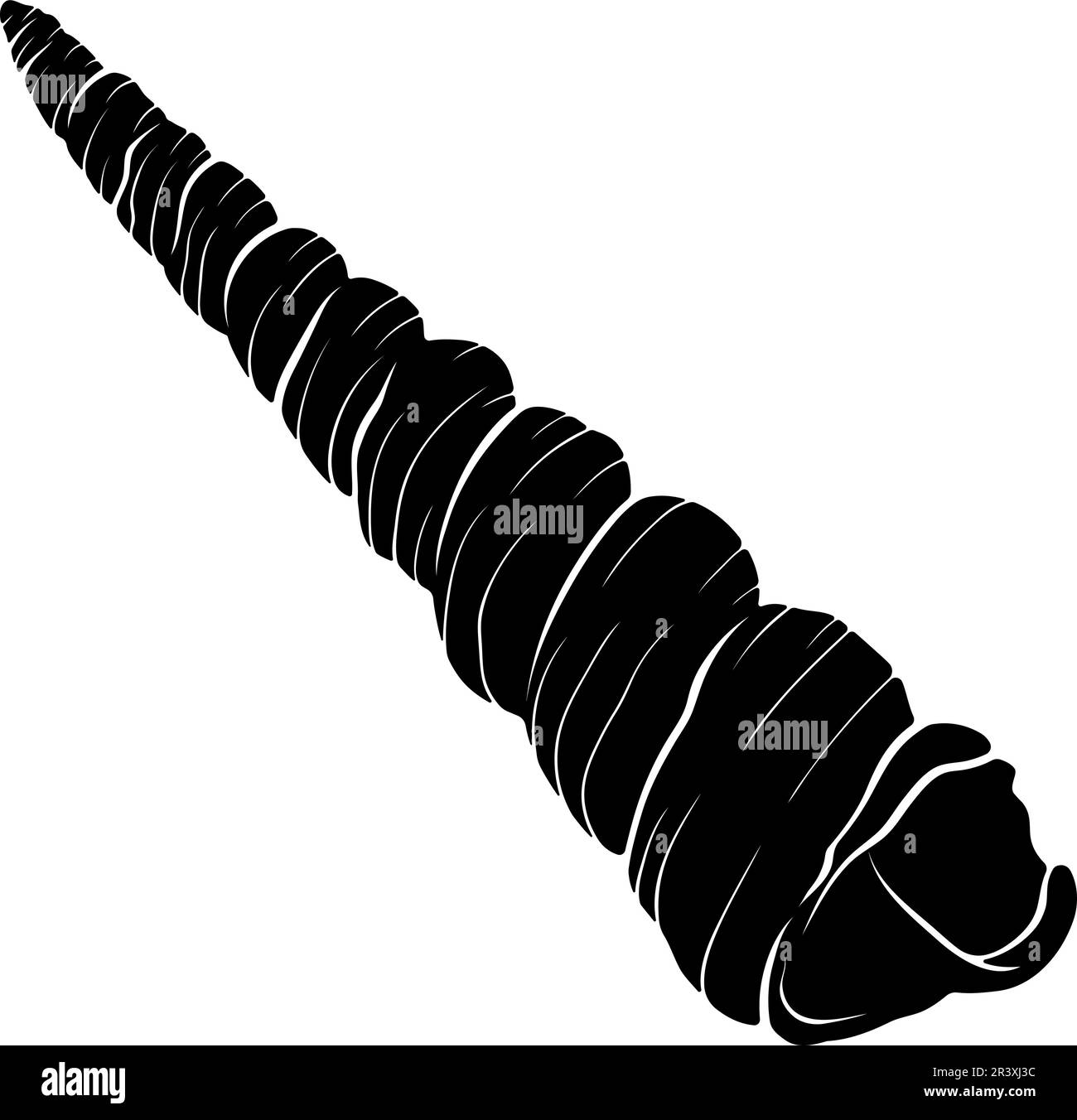Long spiral seashell silhouette Stock Vector Image & Art - Alamy