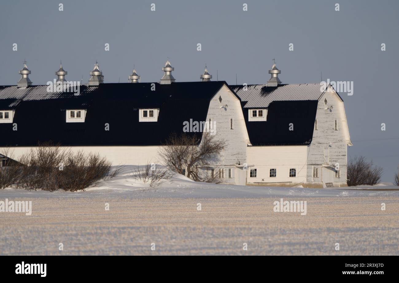 Double barn hi-res stock photography and images - Alamy