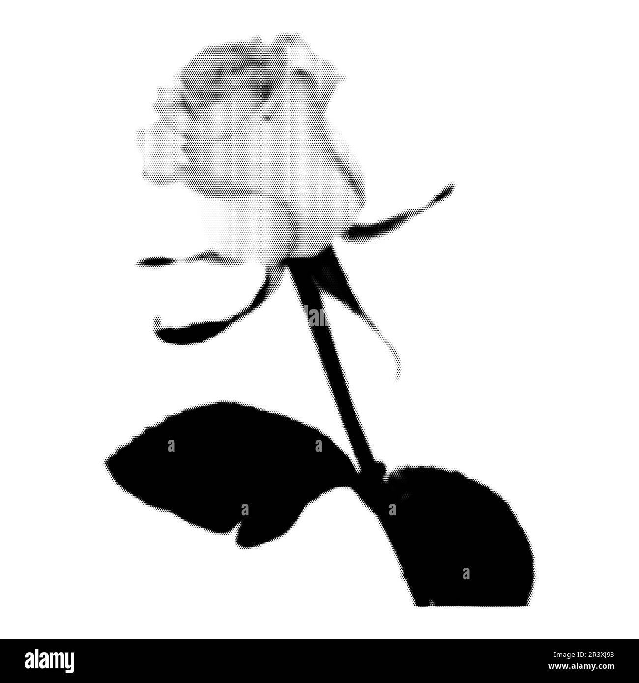 Rose collage. Design element in trendy dotted pop art style. Retro ...