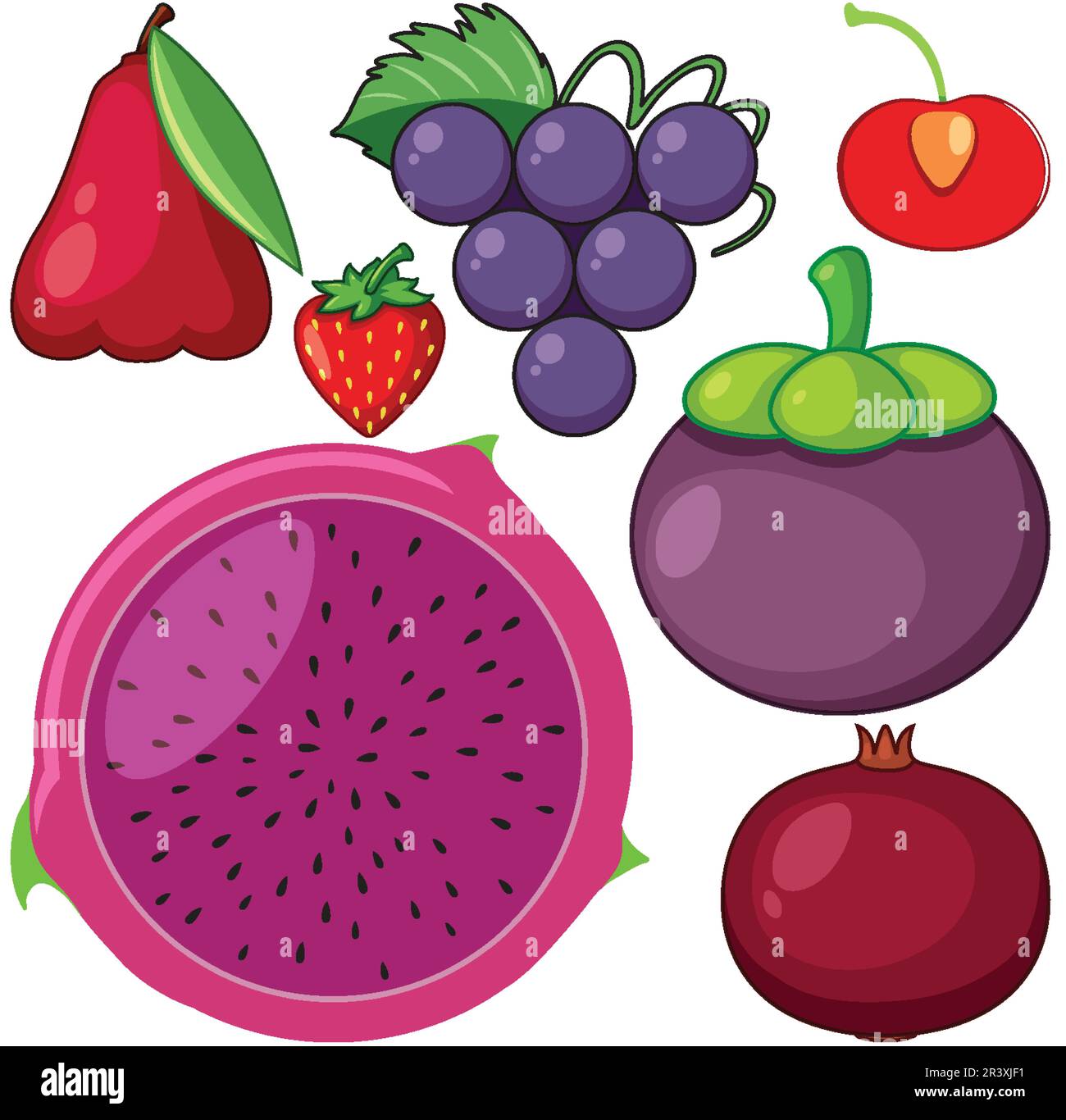 A collection of different fruits illustration Stock Vector Image & Art ...