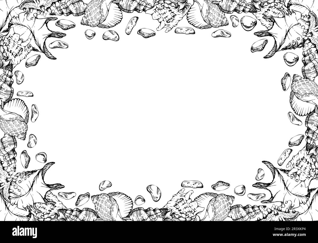 Hand drawn vector ink spiral pearl, brown and gold sea shells and ...