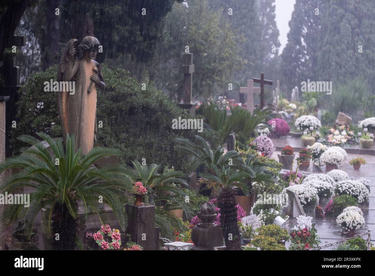 Angel of the memorial tomb owned by the Ripoll Ballester family Stock ...