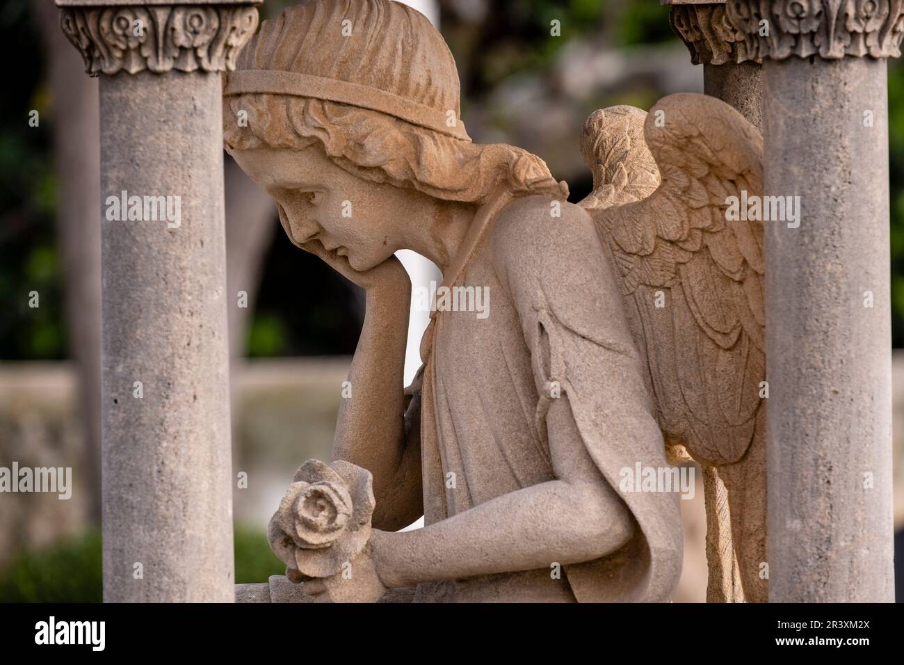 Angel thinking hi-res stock photography and images - Alamy