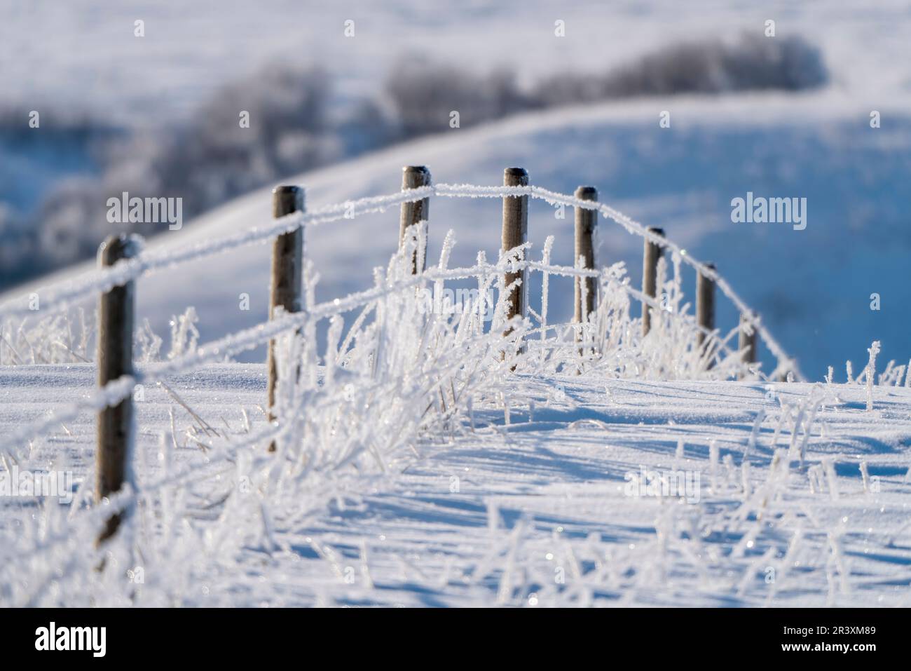Beautiful scene scenes scenic hi-res stock photography and images - Alamy