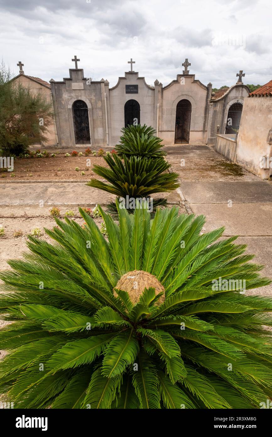 Family pantheons with tile roof Stock Photo - Alamy