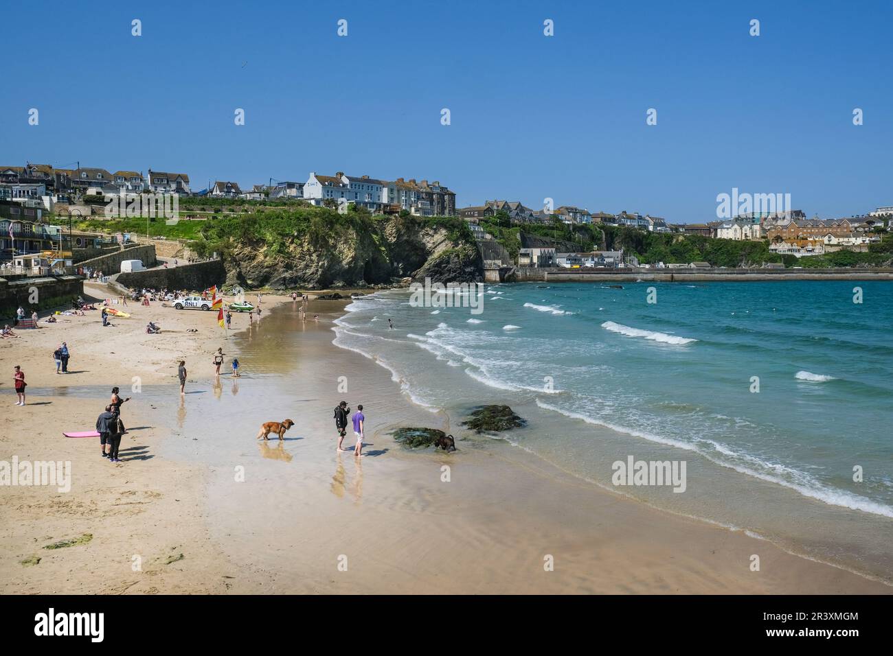 Towan Beach in Newquay in Cornwall in the UK Stock Photo - Alamy