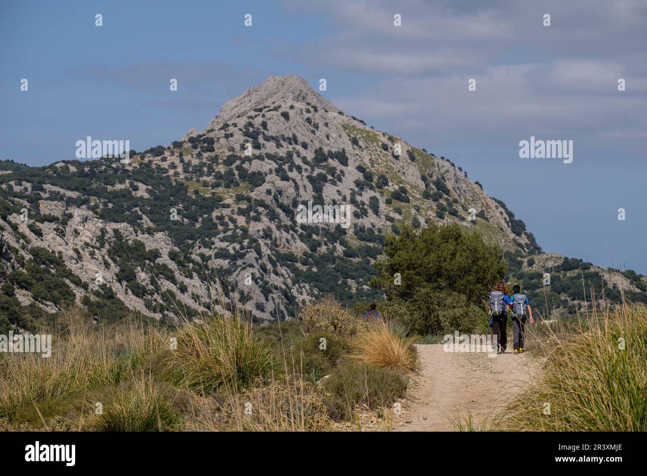 Dry stone path GR221 Stock Photo - Alamy