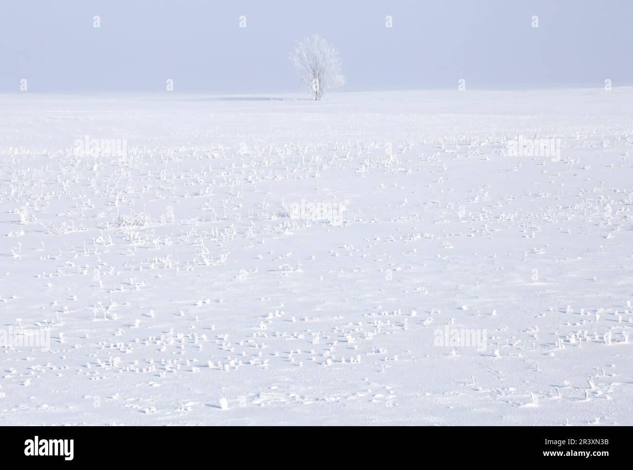 The lone prairie hi-res stock photography and images - Alamy