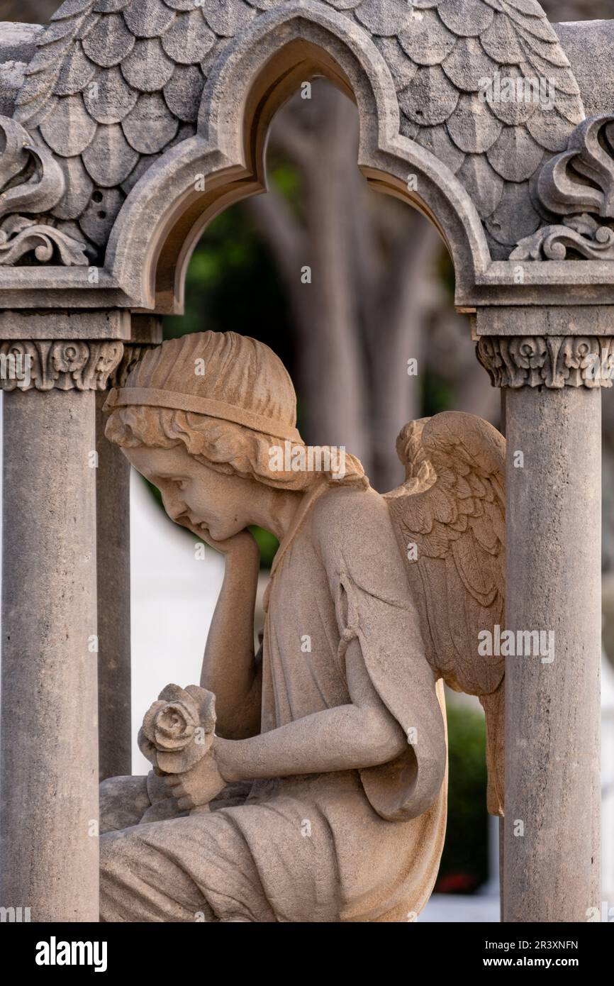 Angel thinking hi-res stock photography and images - Alamy