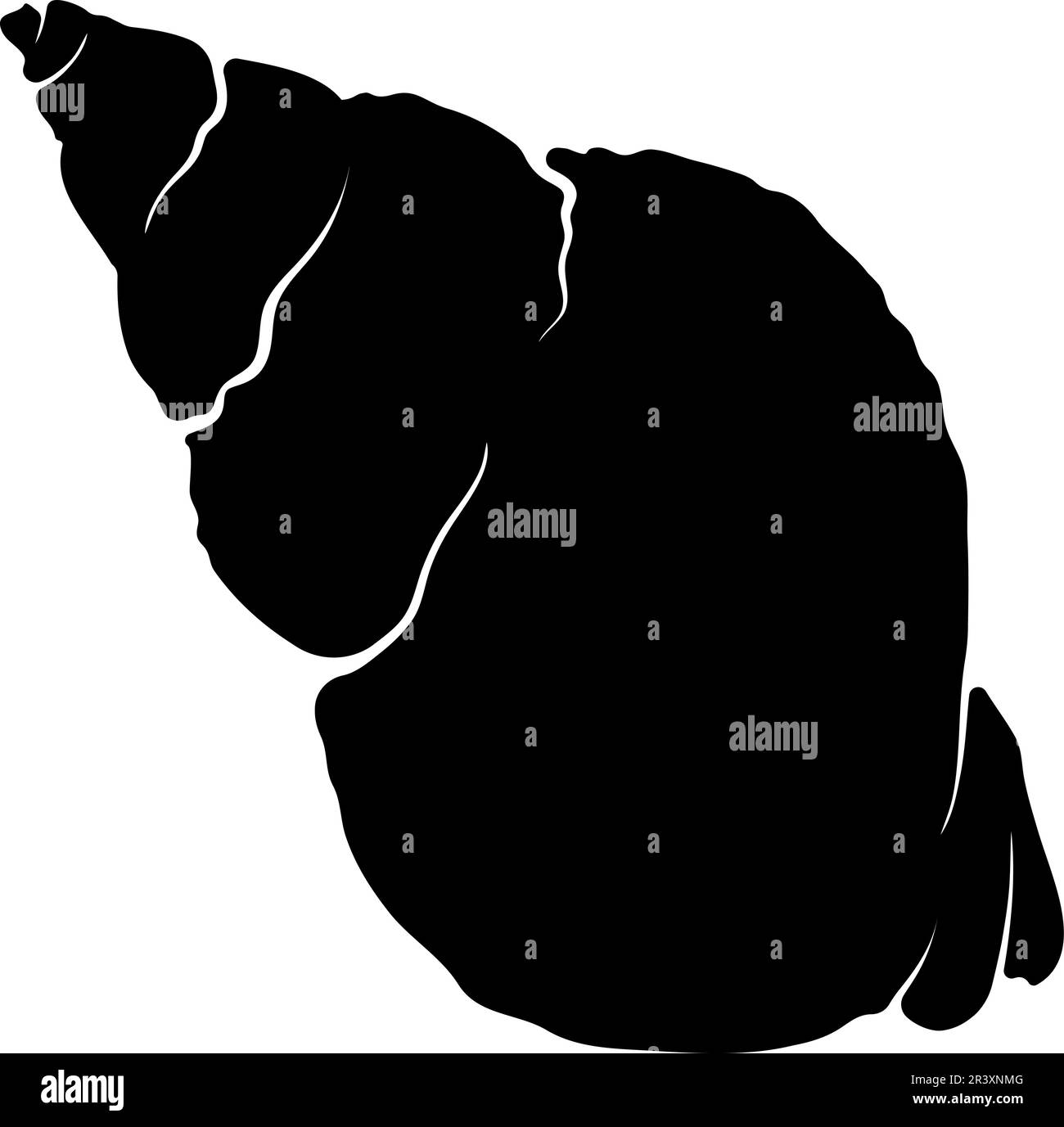 Spiral twisted seashell silhouette Stock Vector Image & Art - Alamy