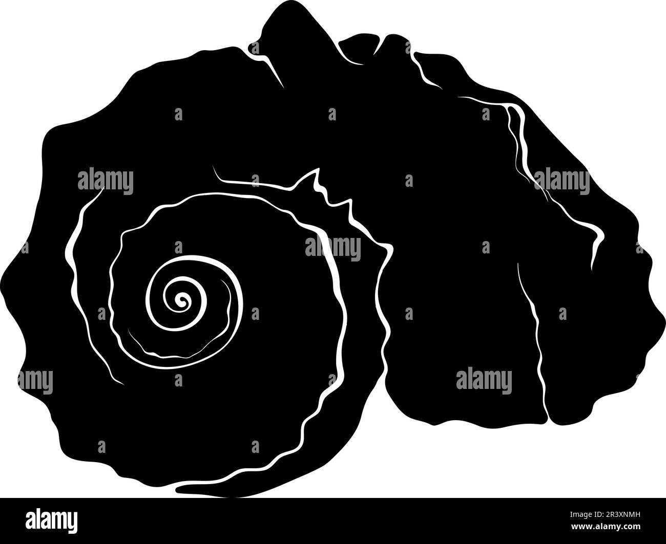 Spiral seashell front view silhouette Stock Vector Image & Art - Alamy