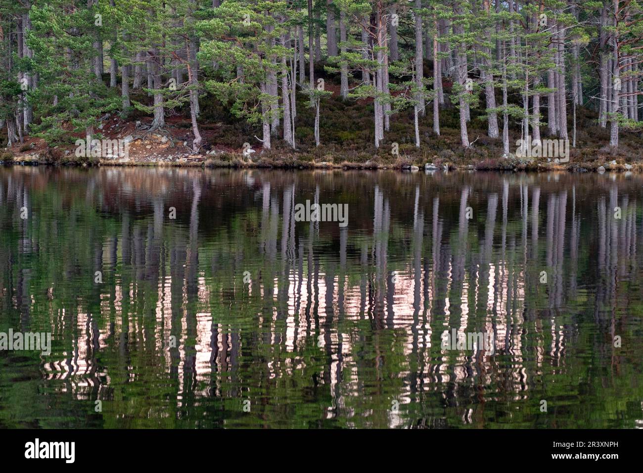 Parque nacional escocia hi-res stock photography and images - Alamy