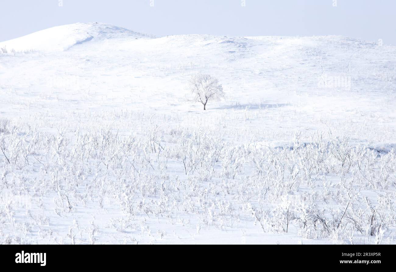 Prairie Winter Scenes Stock Photo - Alamy
