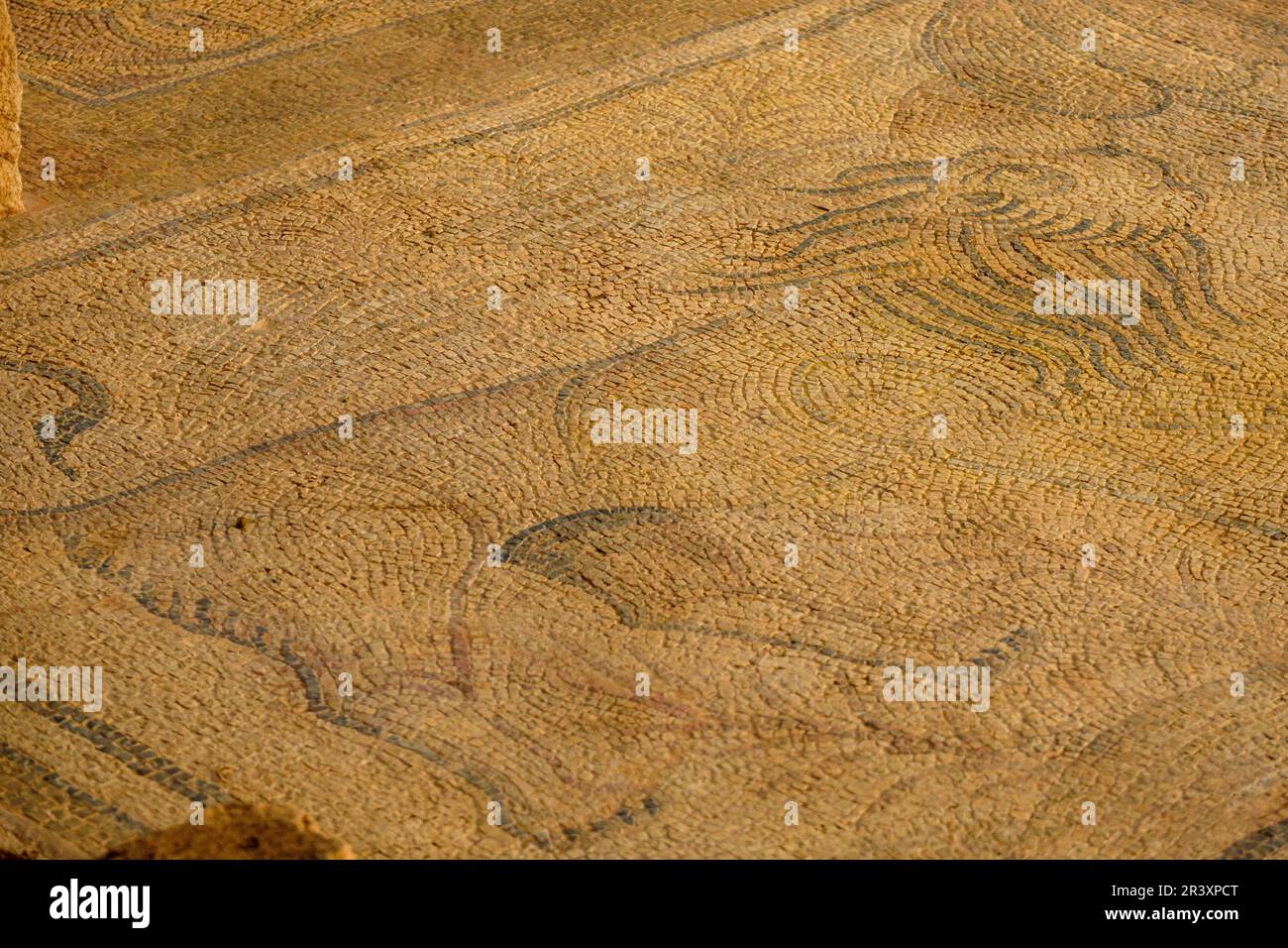 Basilica des Fornàs de Torelló, 5th and 6th centuries AD, Maó, Menorca ...