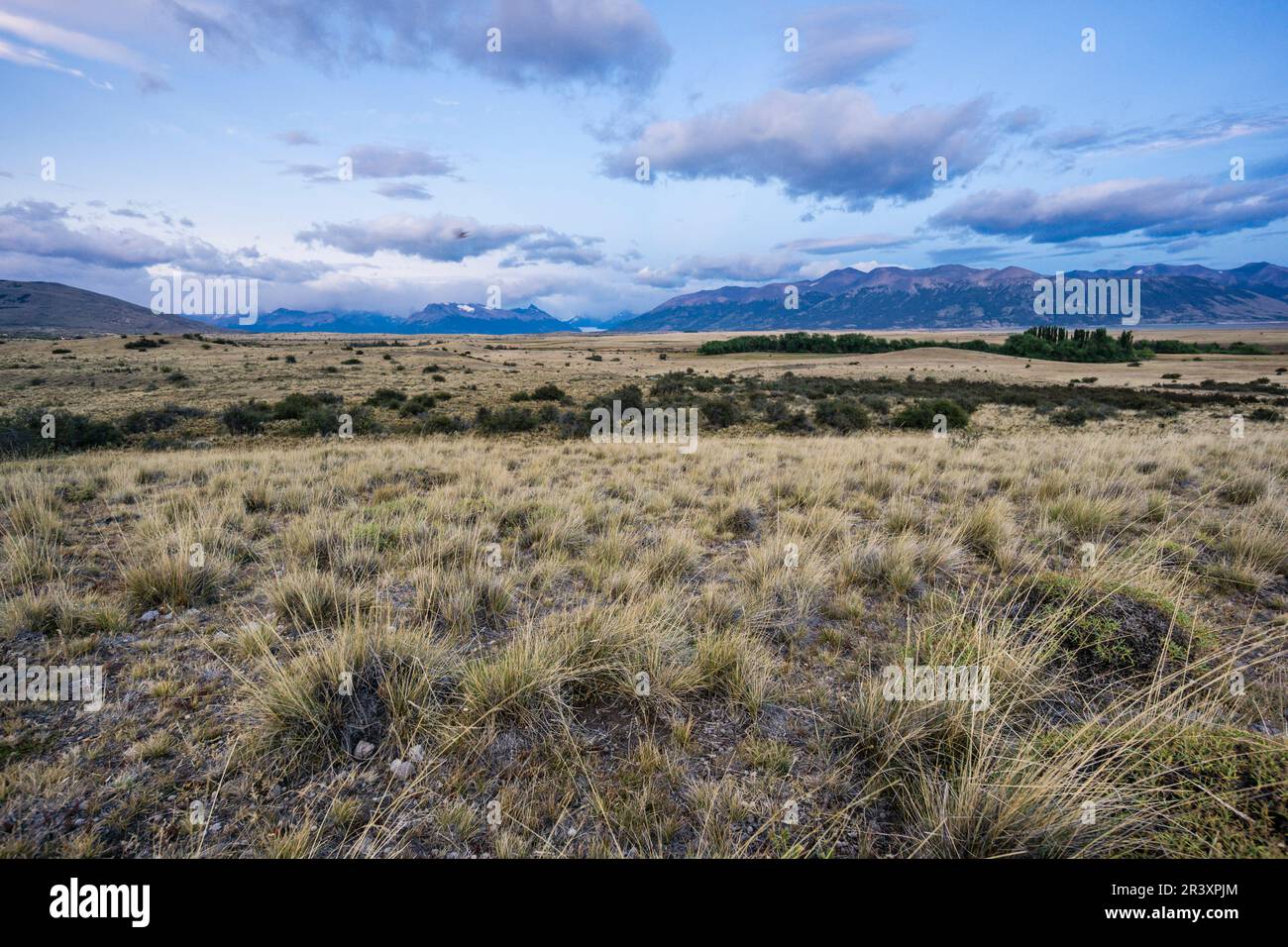 pampa cerca del Lago Roca, El Calafate ,Parque Nacional Los Glaciares ...