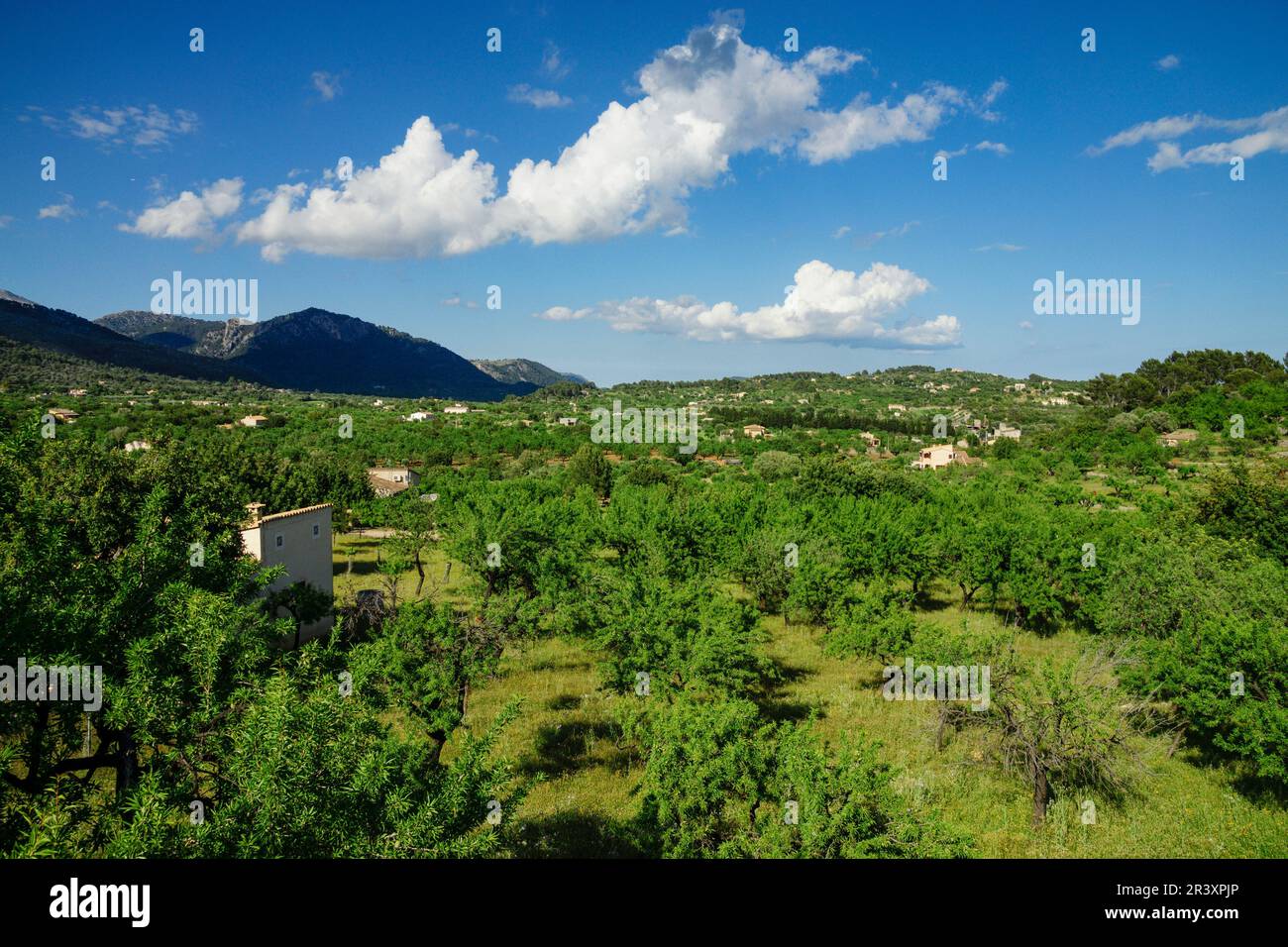 Valle de caimari hi-res stock photography and images - Alamy