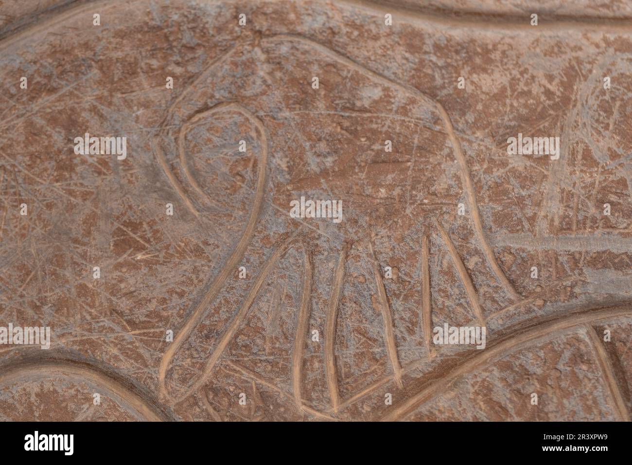 petroglyph of an elephant, cave site of Aït Ouazik, late Neolithic ...