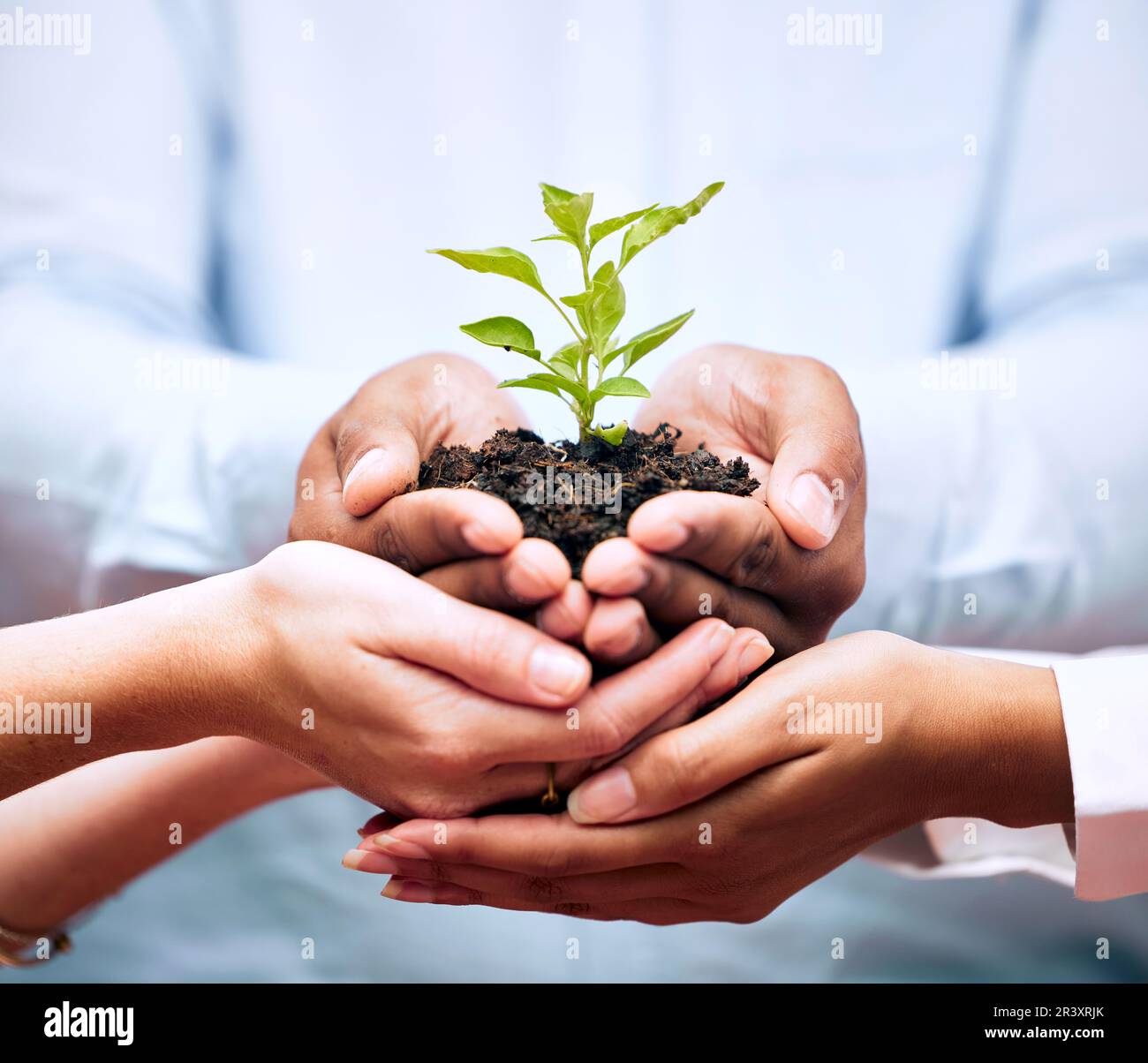 Plants, hands and teamwork of business people for eco friendly growth, sustainability support ...
