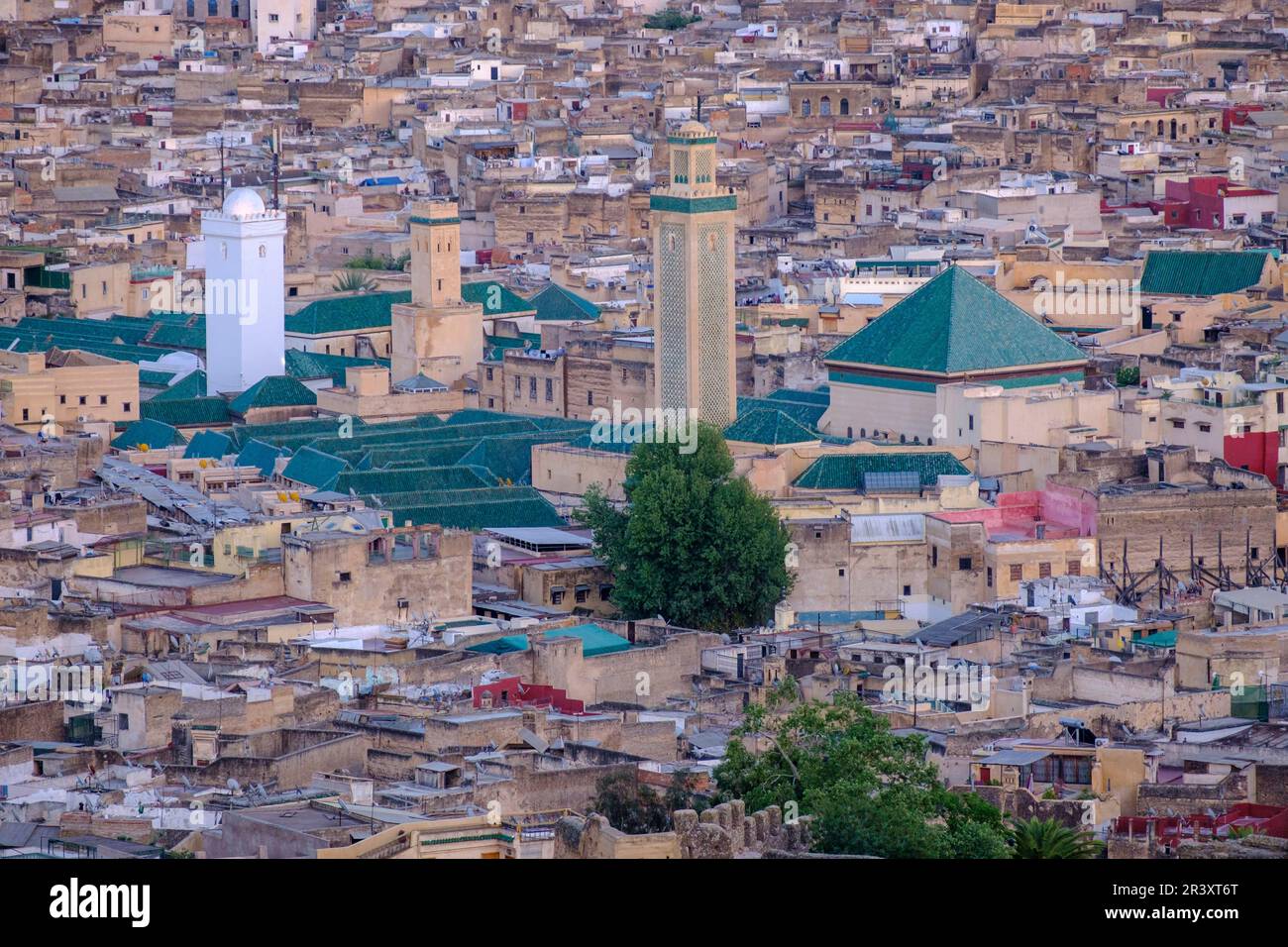 Al Karaouine Mosque, Built in the year 859, oldest university in the ...