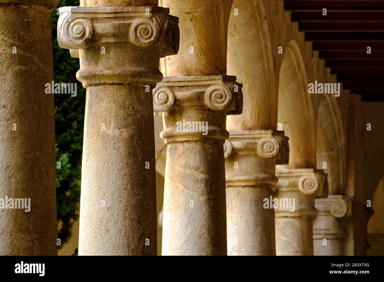 claustro de Santo Domingo, 1730, Inca, Mallorca, balearic islands ...
