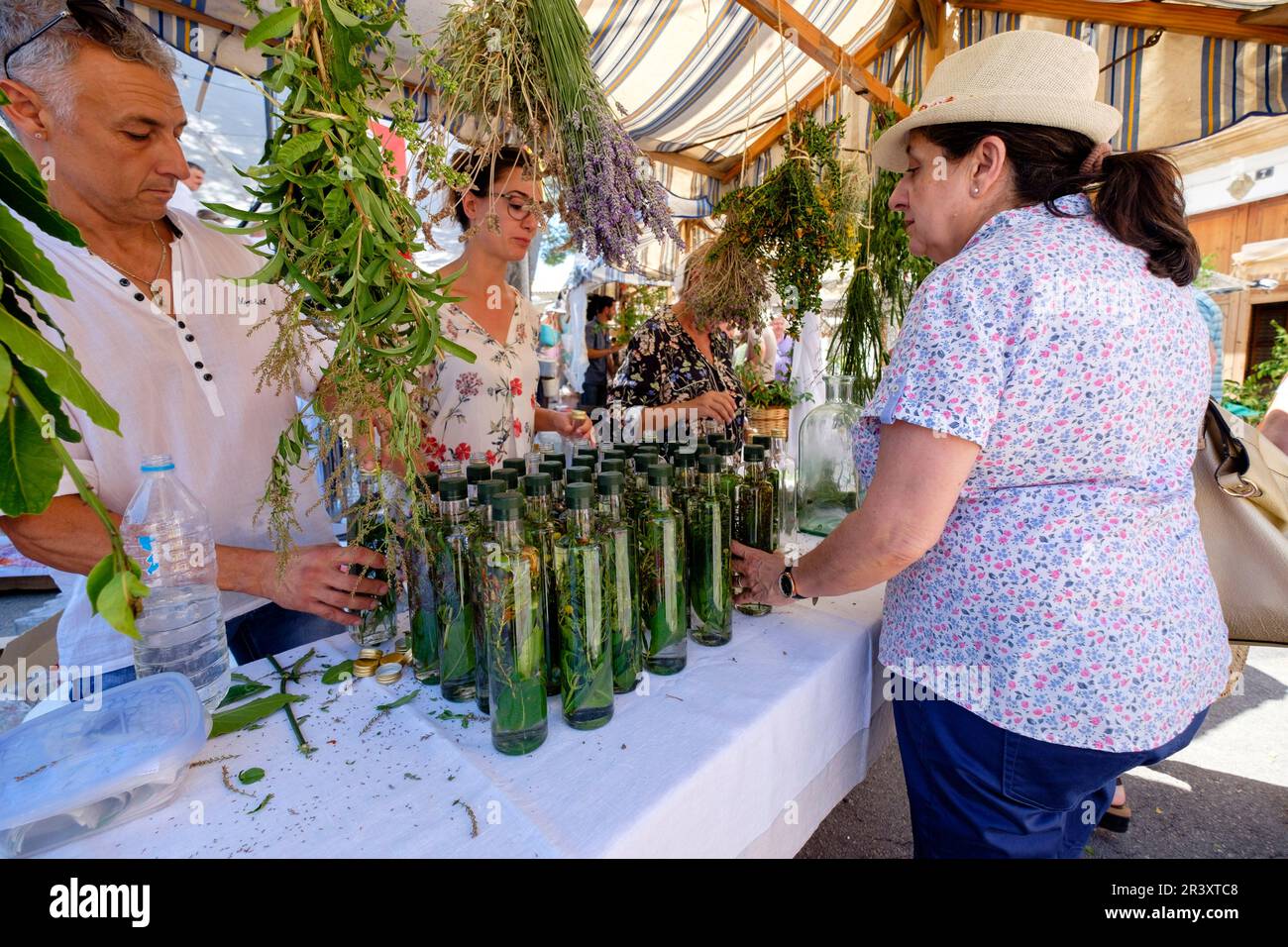 hierbas tradicionales aromaticas, Fira de Ses Herbes,, Selva, Raiguer ...