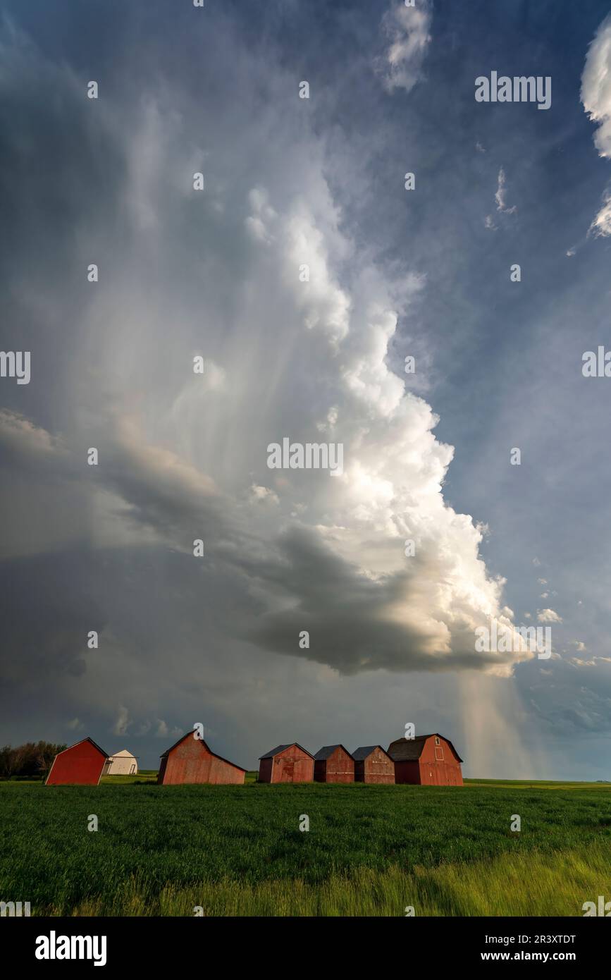 Supercell storm dark clouds hi-res stock photography and images - Alamy
