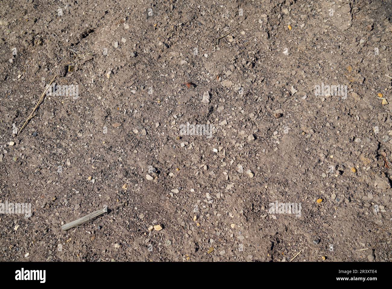 Depleted acidic soils without nutrients in agriculture lead to stunted ...