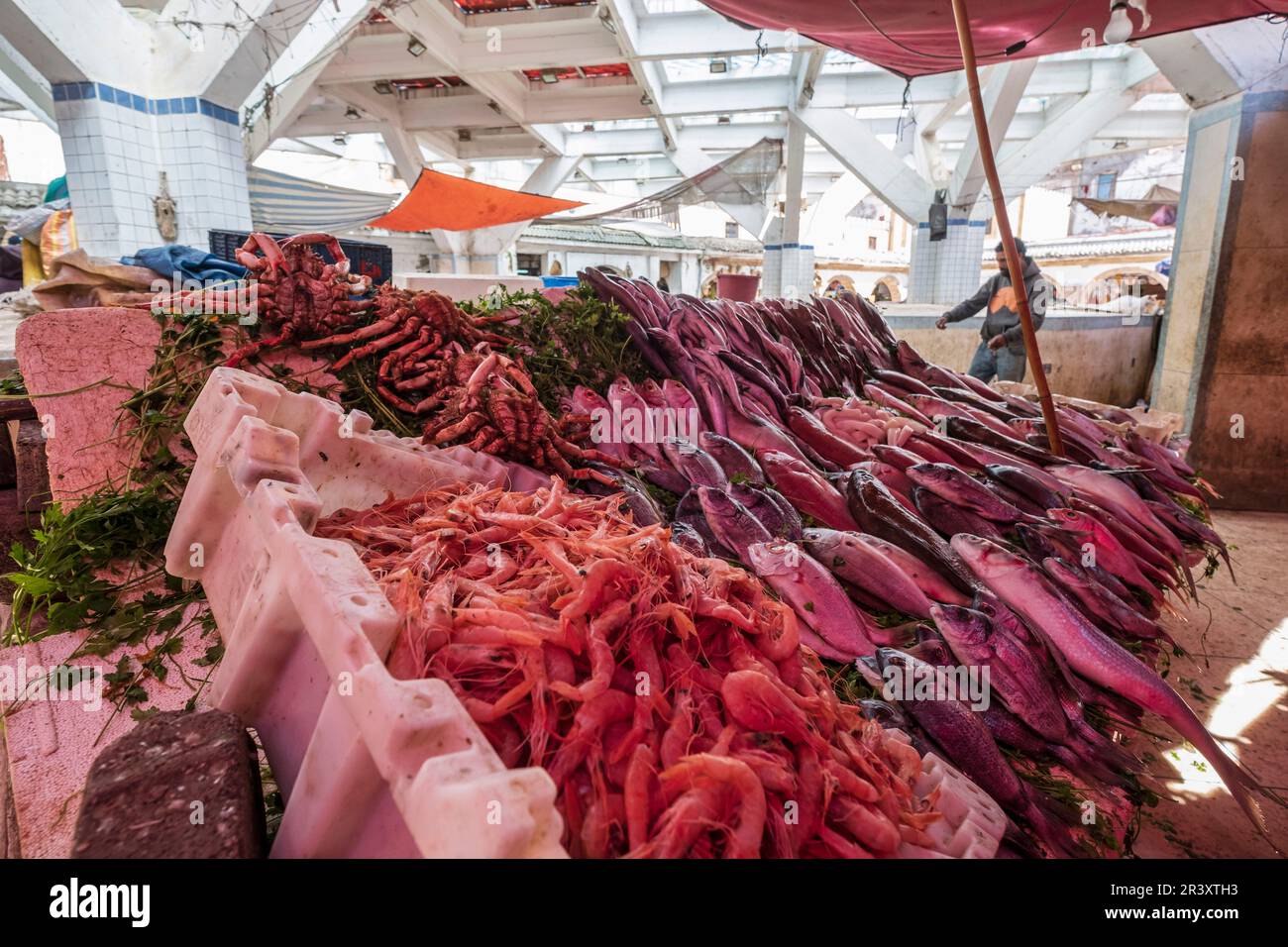 fish market in the medina, Essaouira, morocco, africa Stock Photo - Alamy