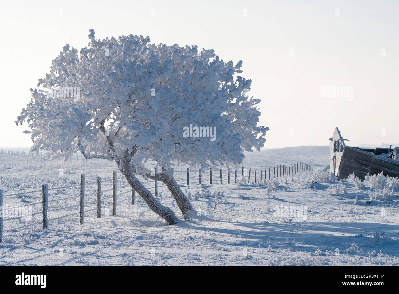 Prairie Winter Scenes Stock Photo - Alamy