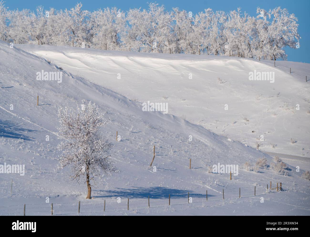 Beautiful winter scenes hi-res stock photography and images - Alamy