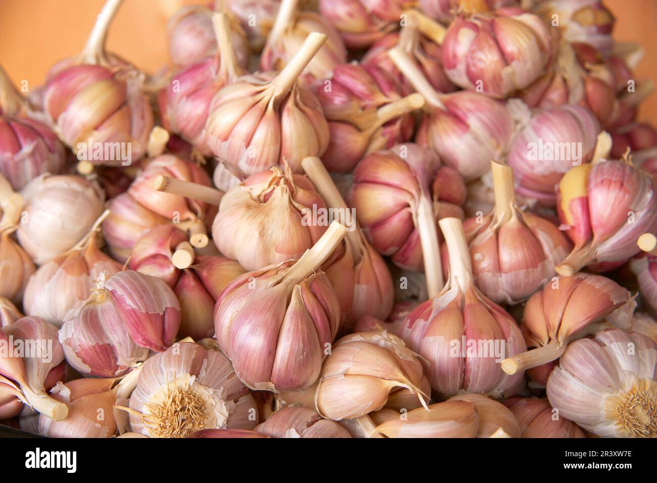 Barrio judio (El Mellah),ajos.Marrakech.Ciudad Imperial.Marruecos ...