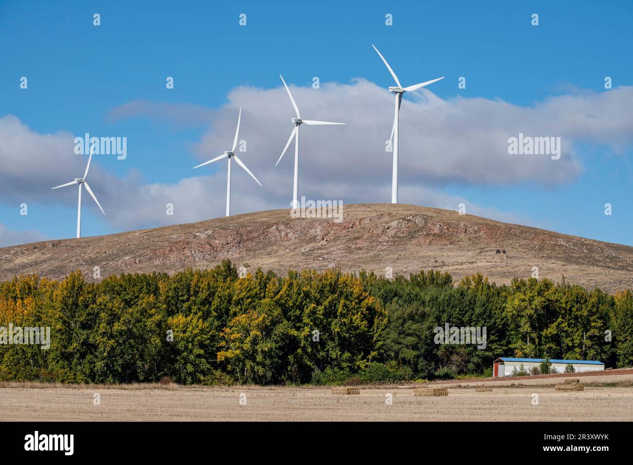 Wind farm in Sierra de Pela Stock Photo - Alamy