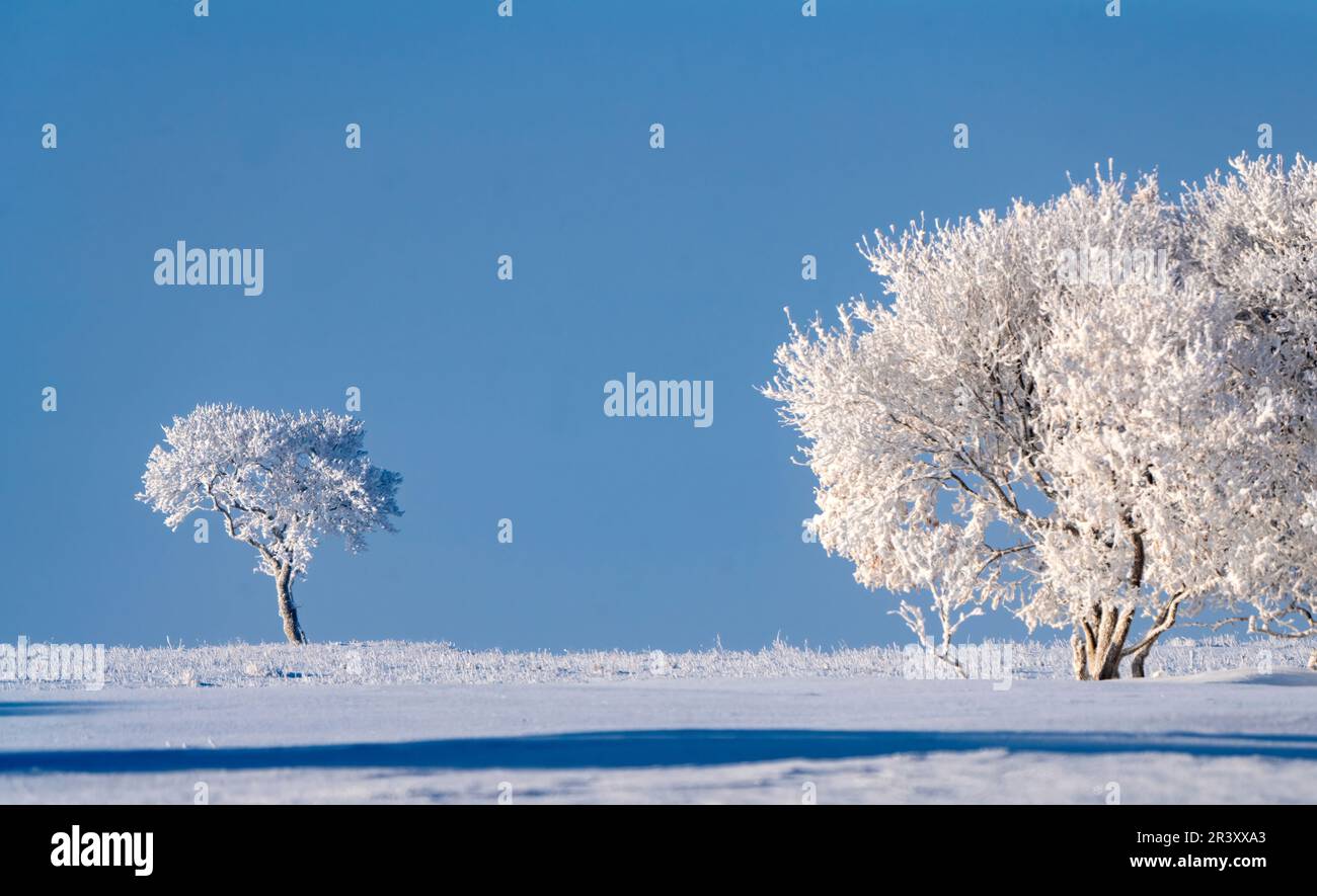 Scenic scene scenes hi-res stock photography and images - Alamy