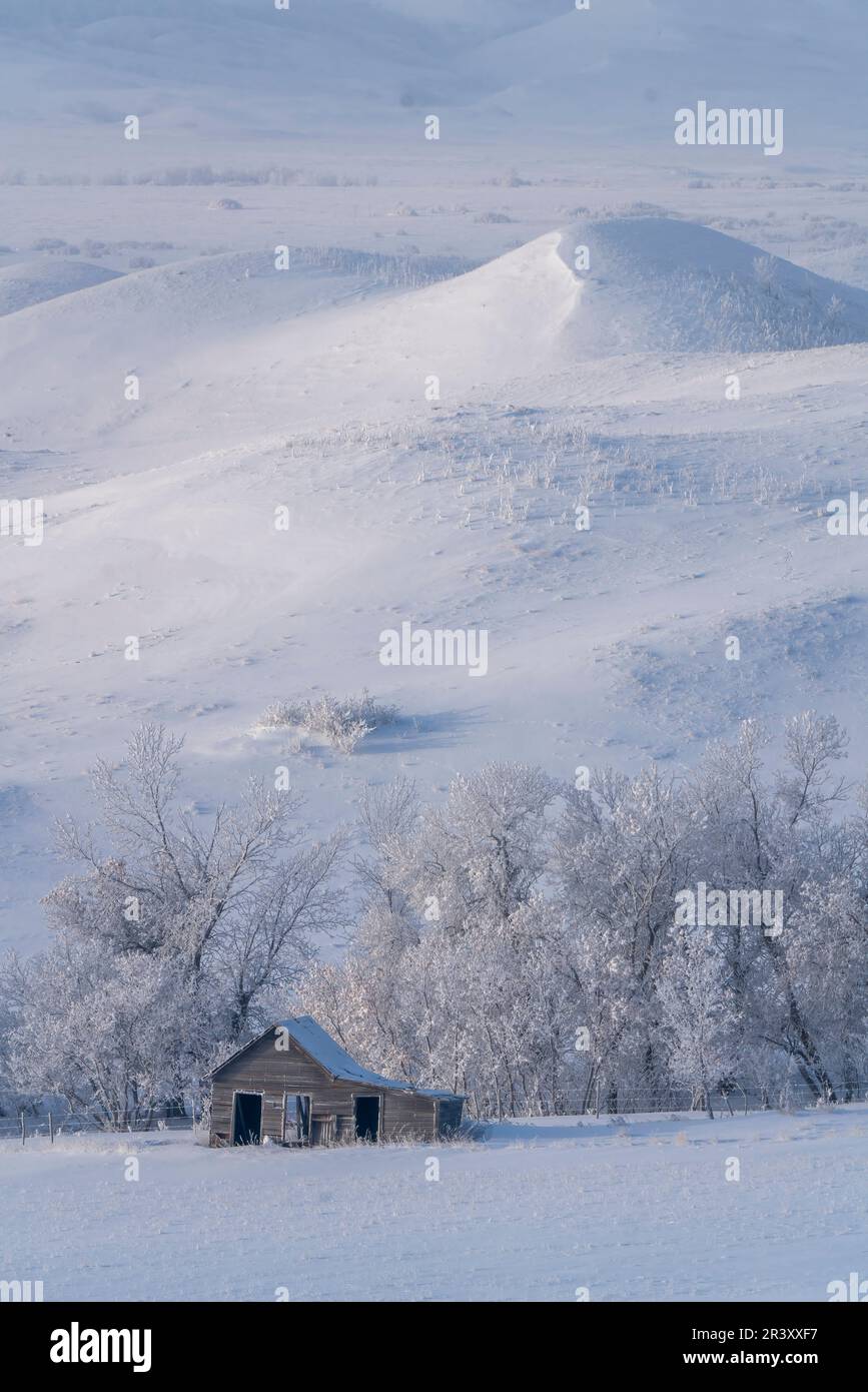 Beauty scenes hi-res stock photography and images - Alamy