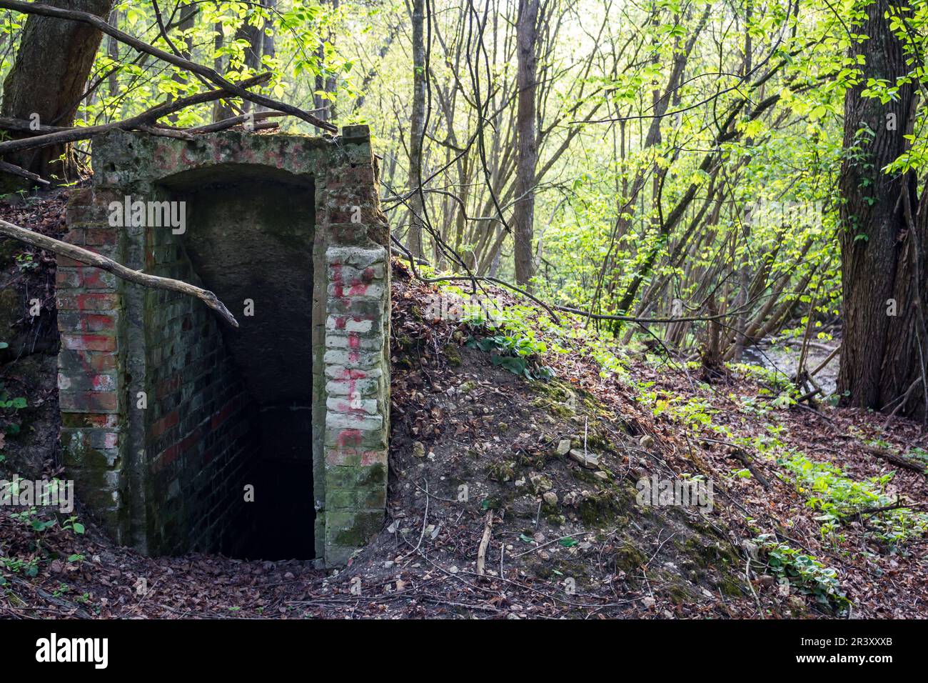 Brick basement hi-res stock photography and images - Alamy
