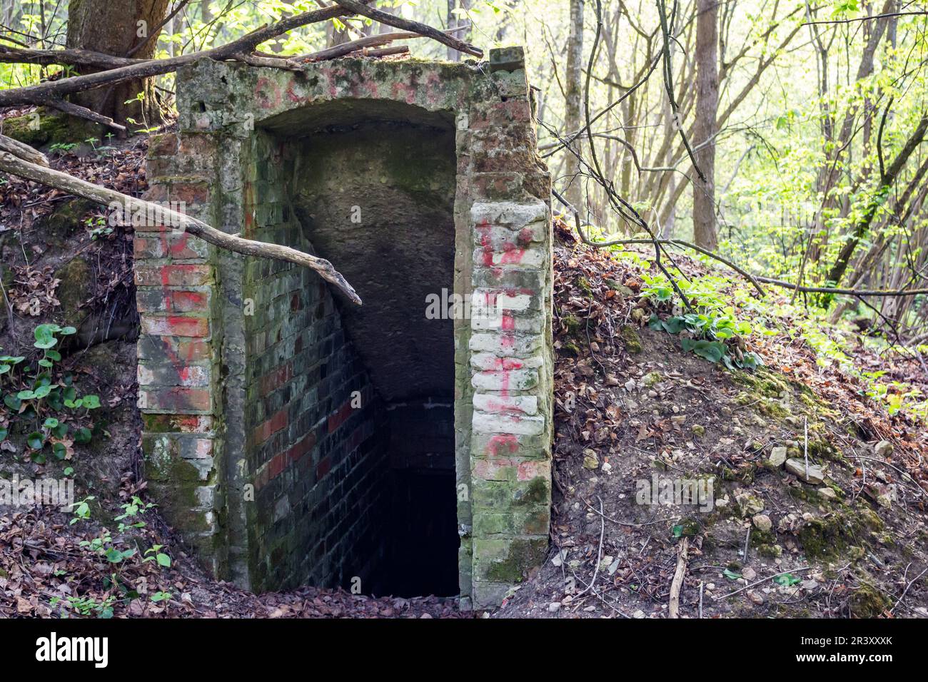 Old abandoned brick basement in a forest area Stock Photo - Alamy
