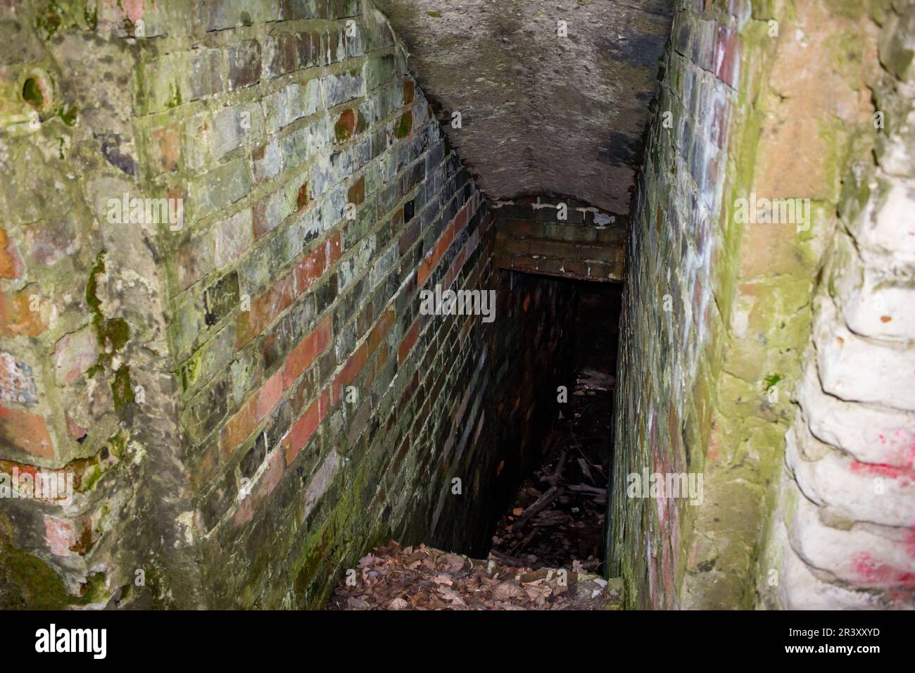 Descent into the old damp and gloomy basement of brick and concrete ...